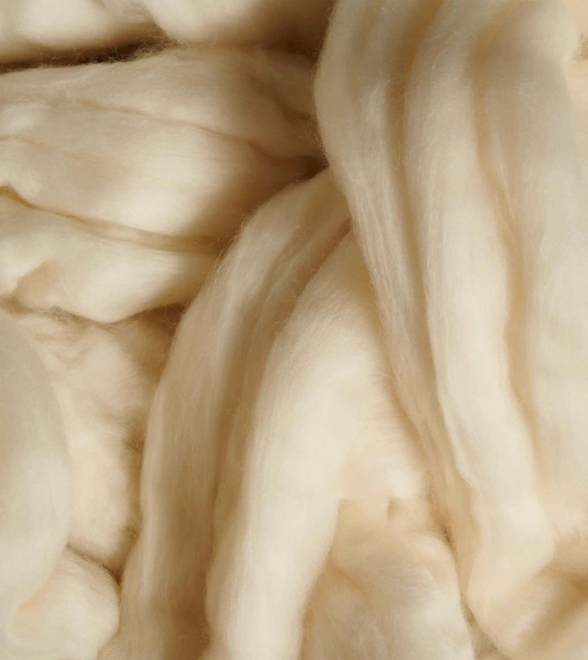 Vellus Aureum Wool: Ultra-Fine, Exceptionally Soft | ZEGNA NZ